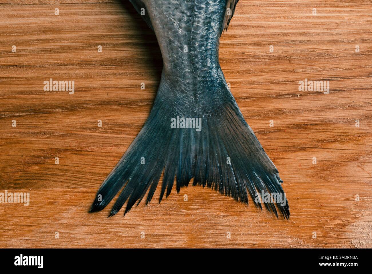 Wet fish tail in the middle of wooden background Stock Photo - Alamy