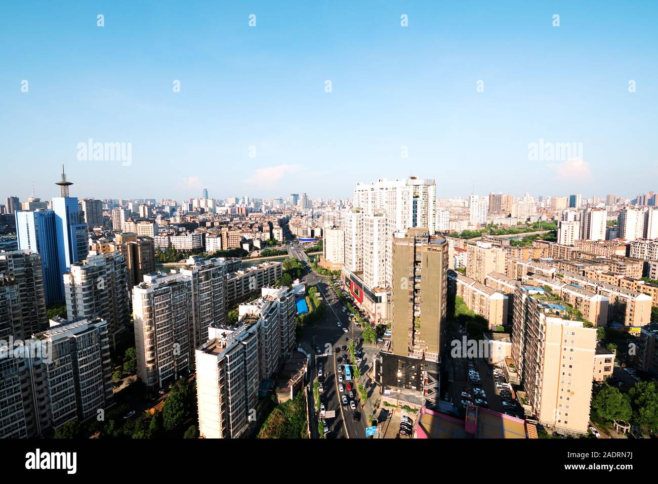 Shanghai tower china birds hi-res stock photography and images - Alamy
