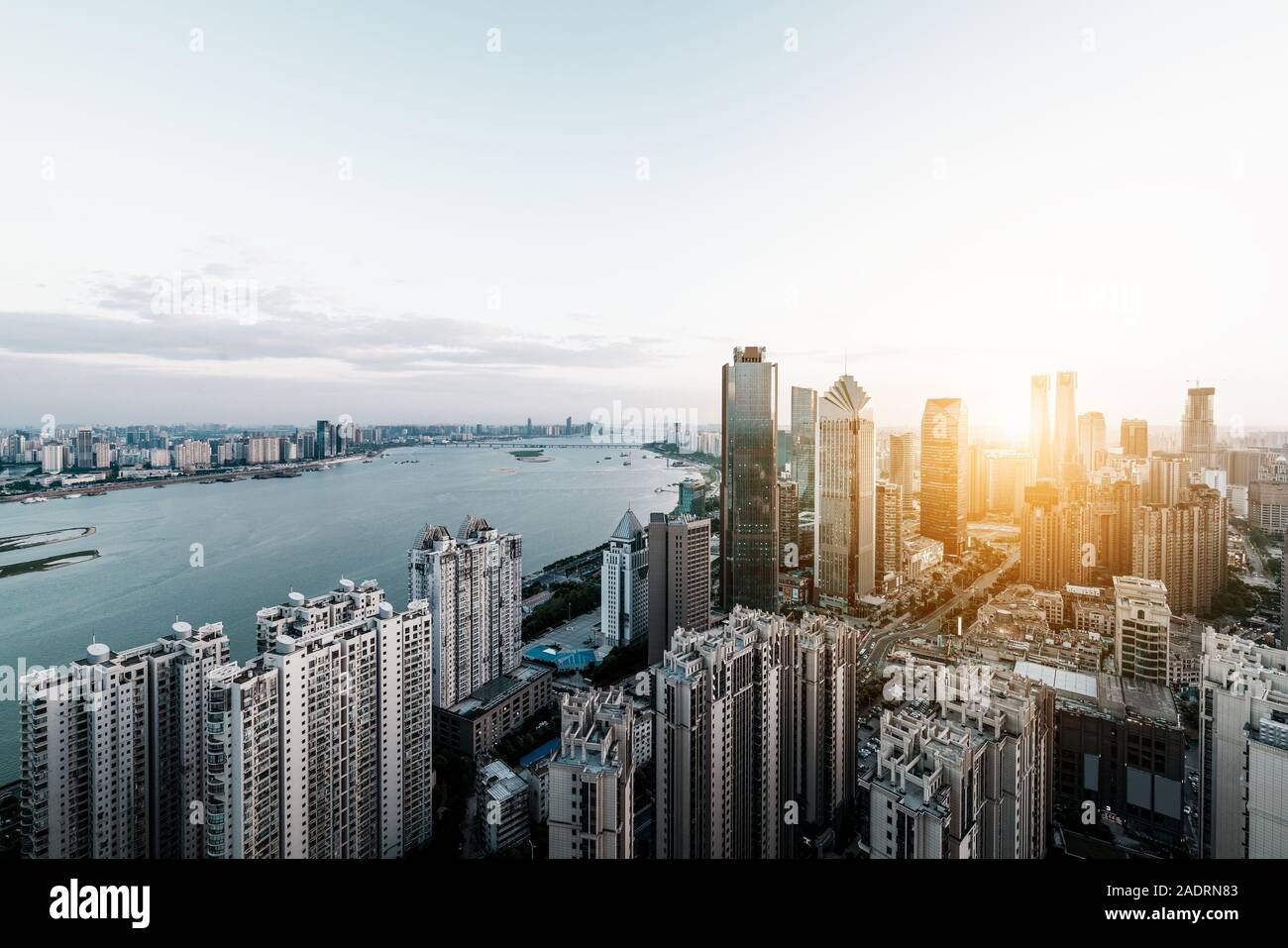 Shanghai tower china birds hi-res stock photography and images - Alamy