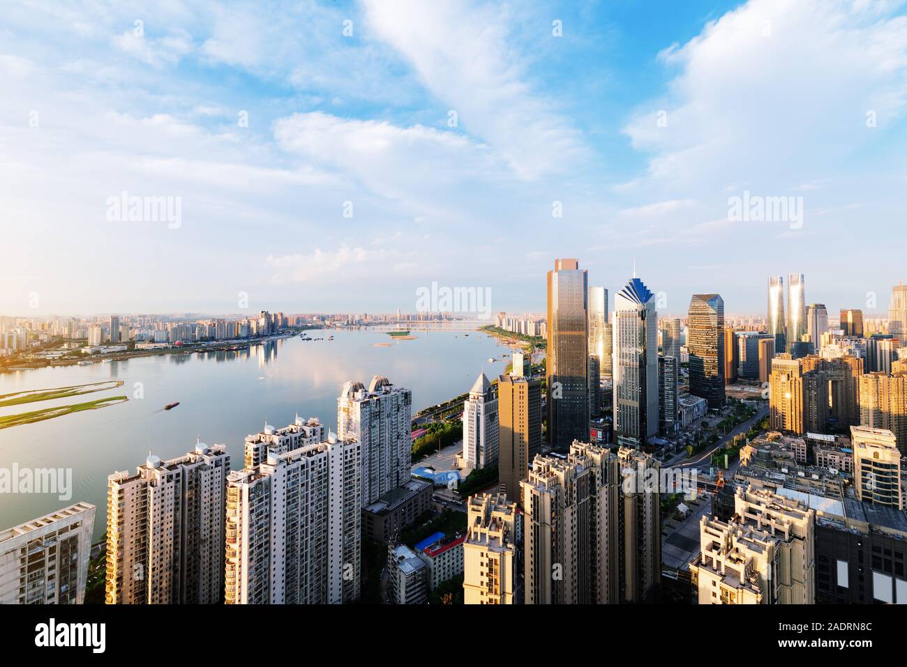 Shanghai tower china birds hi-res stock photography and images - Alamy