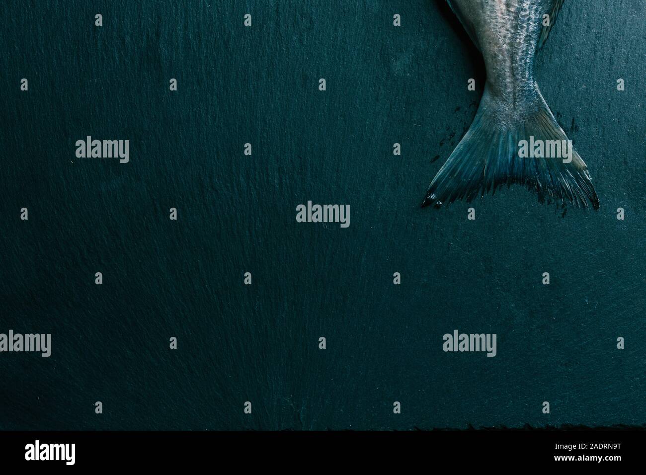 Isolated photo of raw fish tail on black slate surface Stock Photo - Alamy