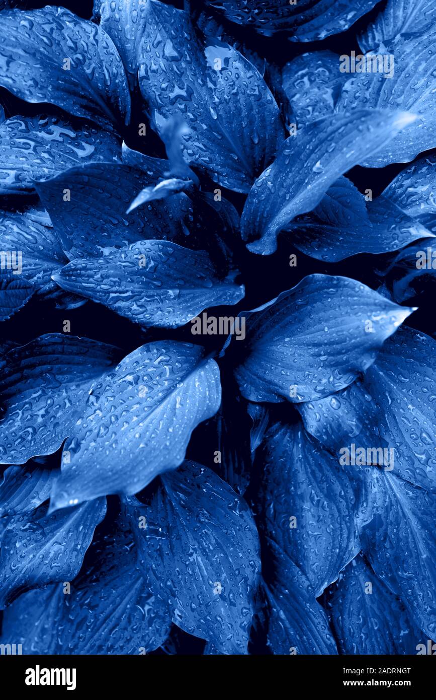 Pretty Dark Blue Backgrounds