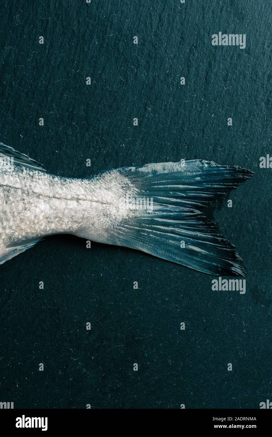 Middle sea kitchen hi-res stock photography and images - Alamy