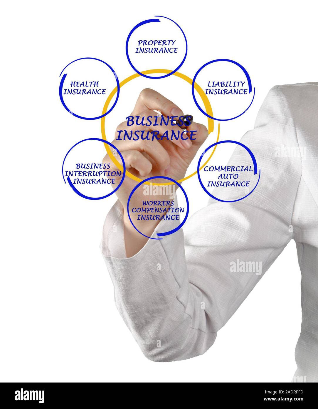 Diagram of business insurance Stock Photo - Alamy