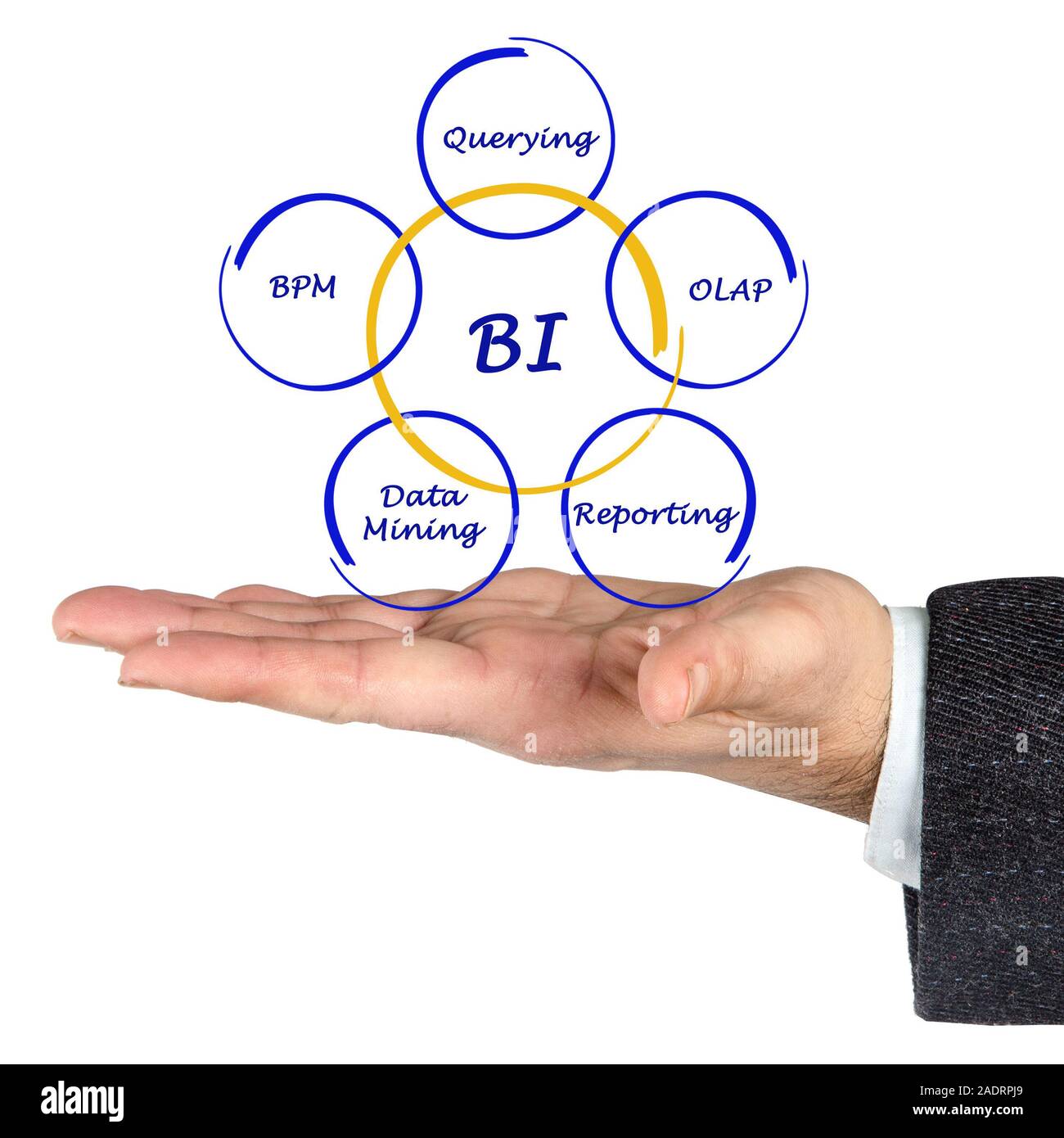 Querying Cut Out Stock Images & Pictures - Alamy