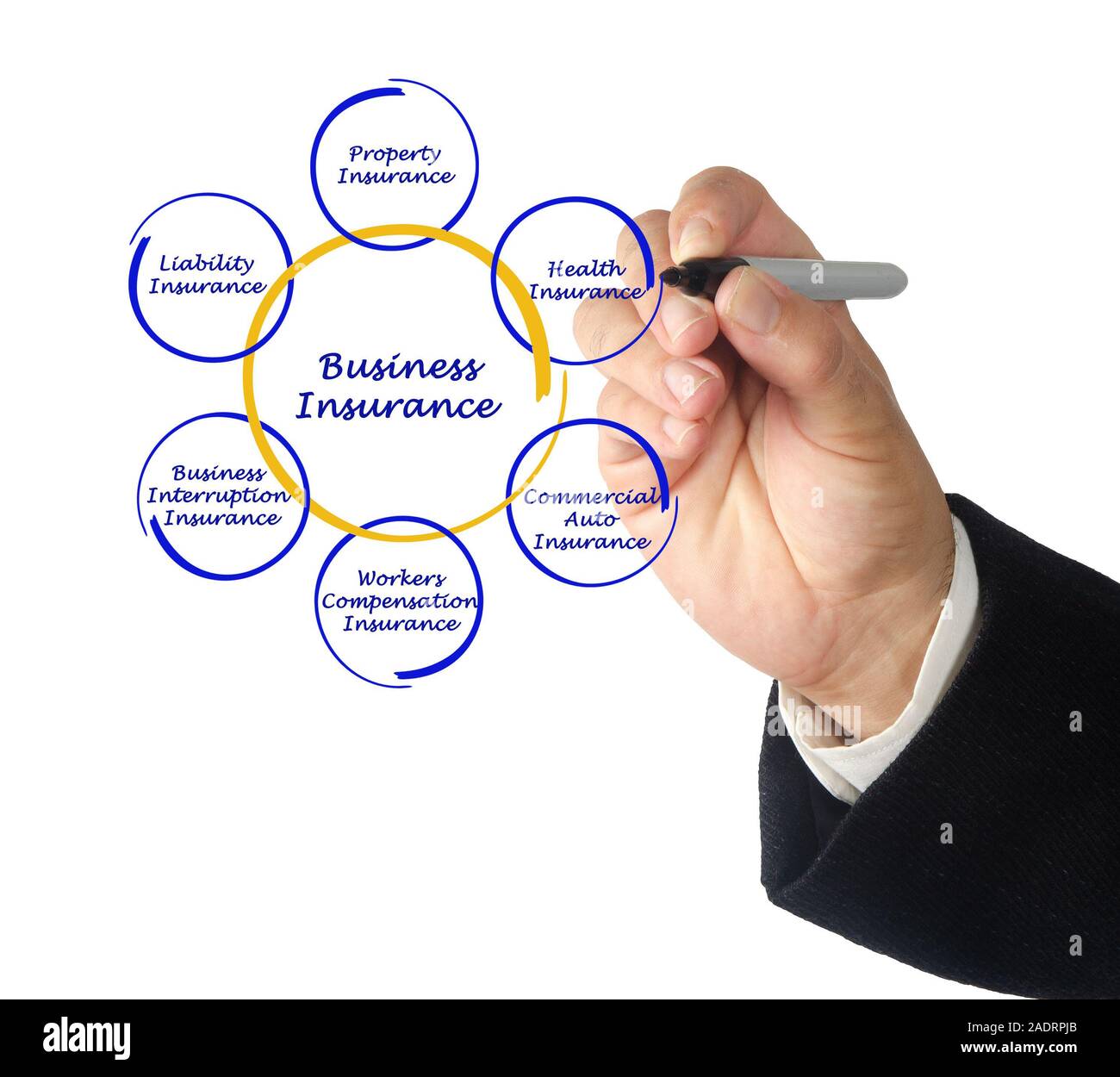 Diagram of business insurance Stock Photo - Alamy