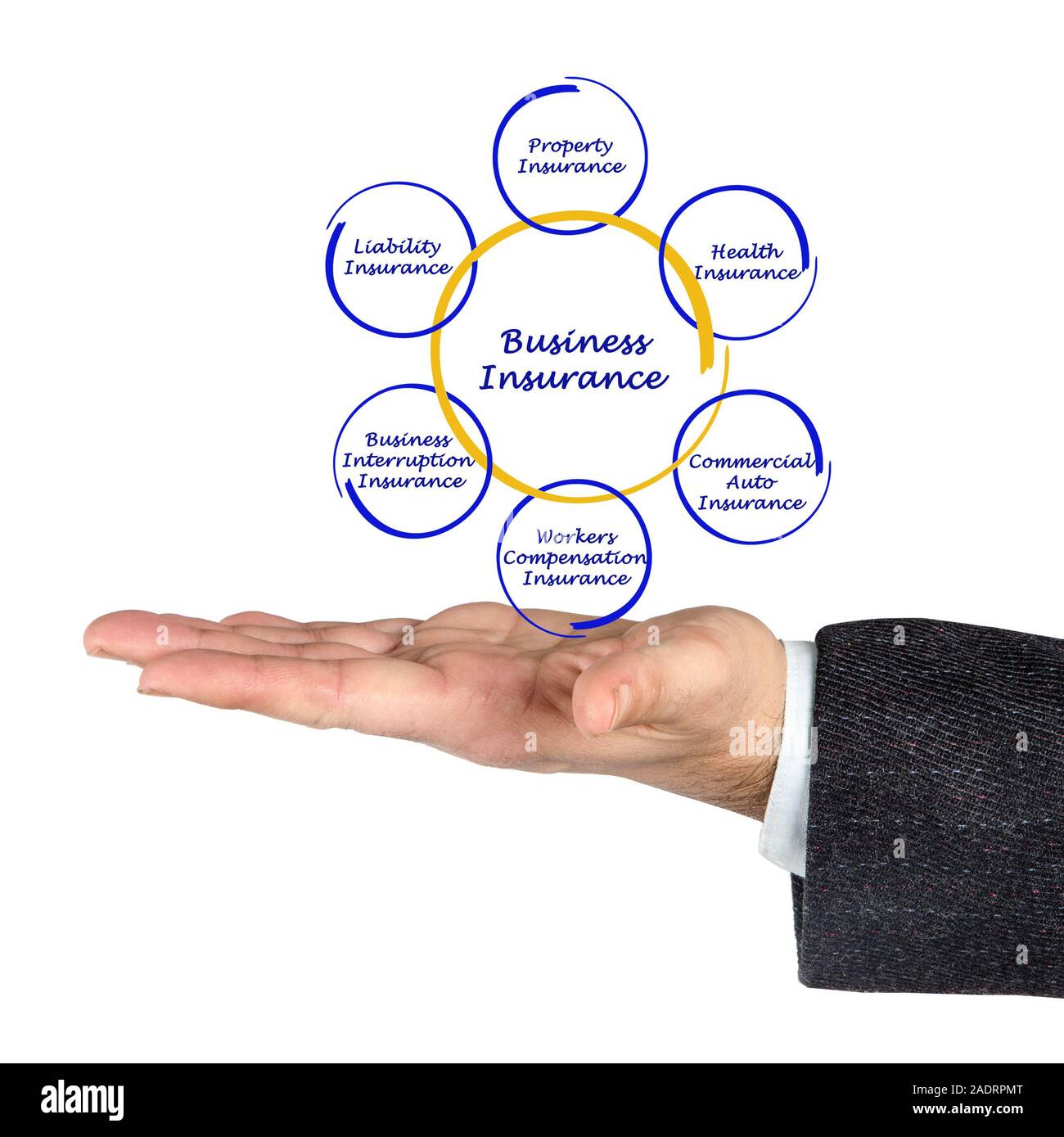 Diagram of business insurance Stock Photo - Alamy