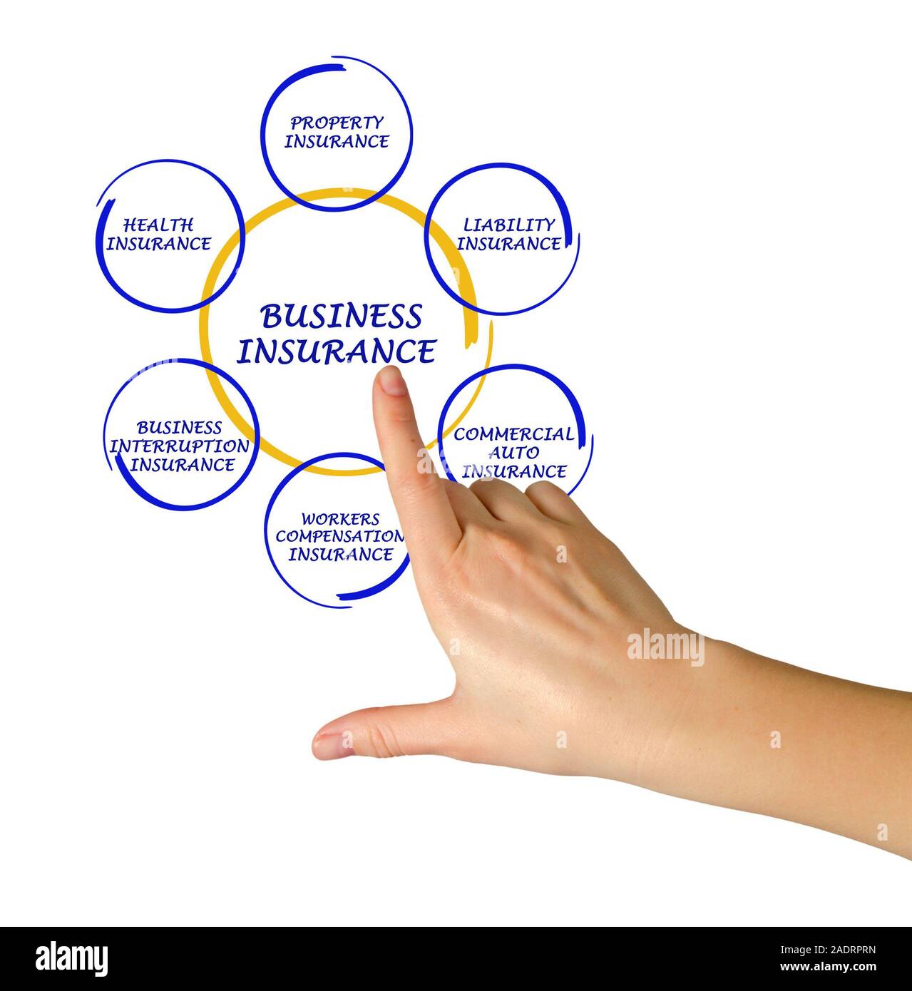 Diagram of business insurance Stock Photo - Alamy