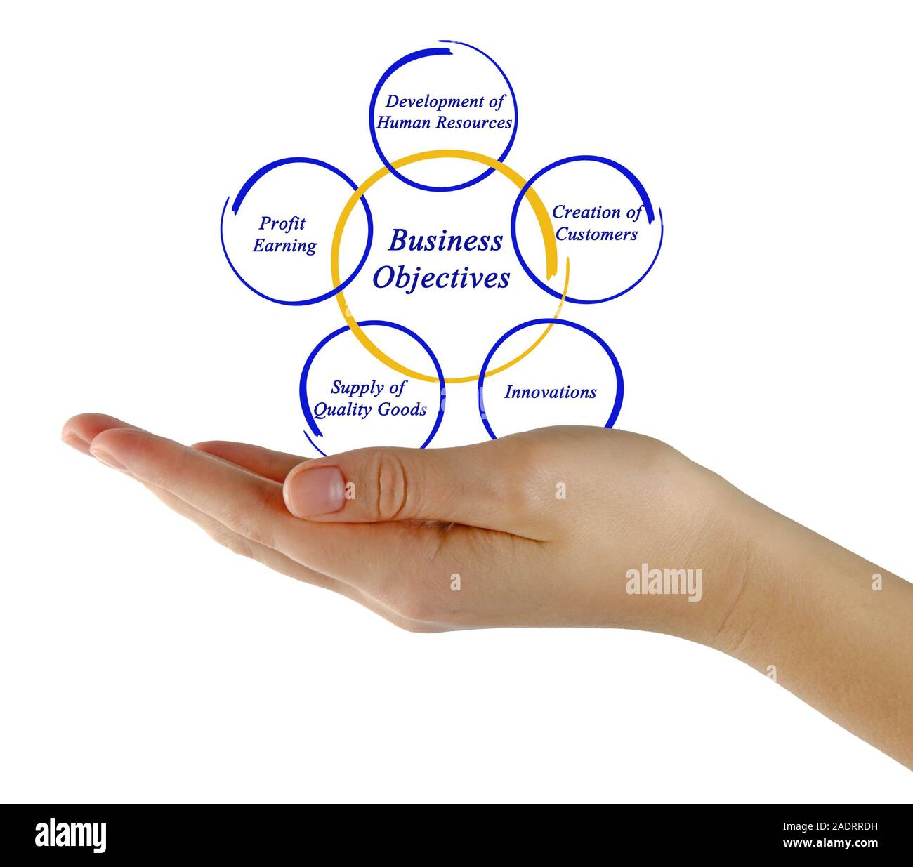 Diagram of Business Objective Stock Photo - Alamy