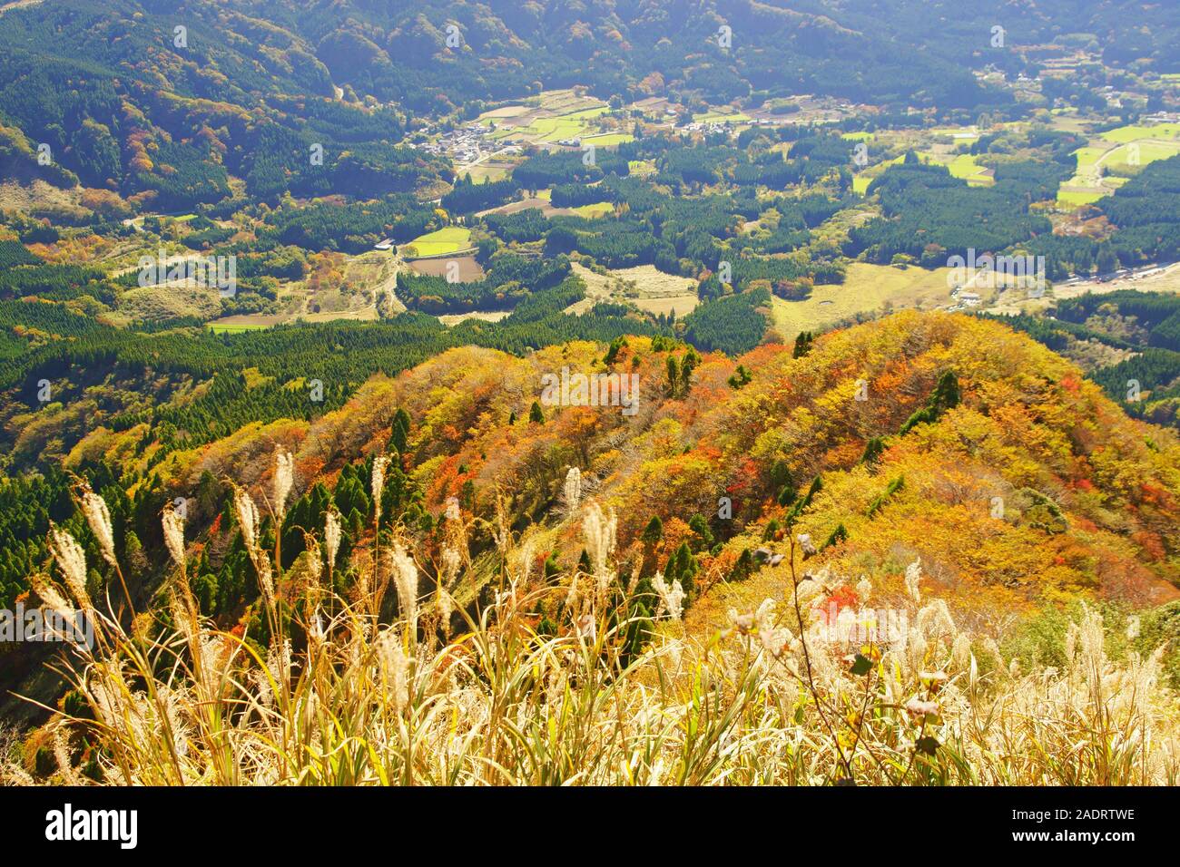 Japanese fall foliage, Mt. Neko, Aso, Japan Stock Photo - Alamy