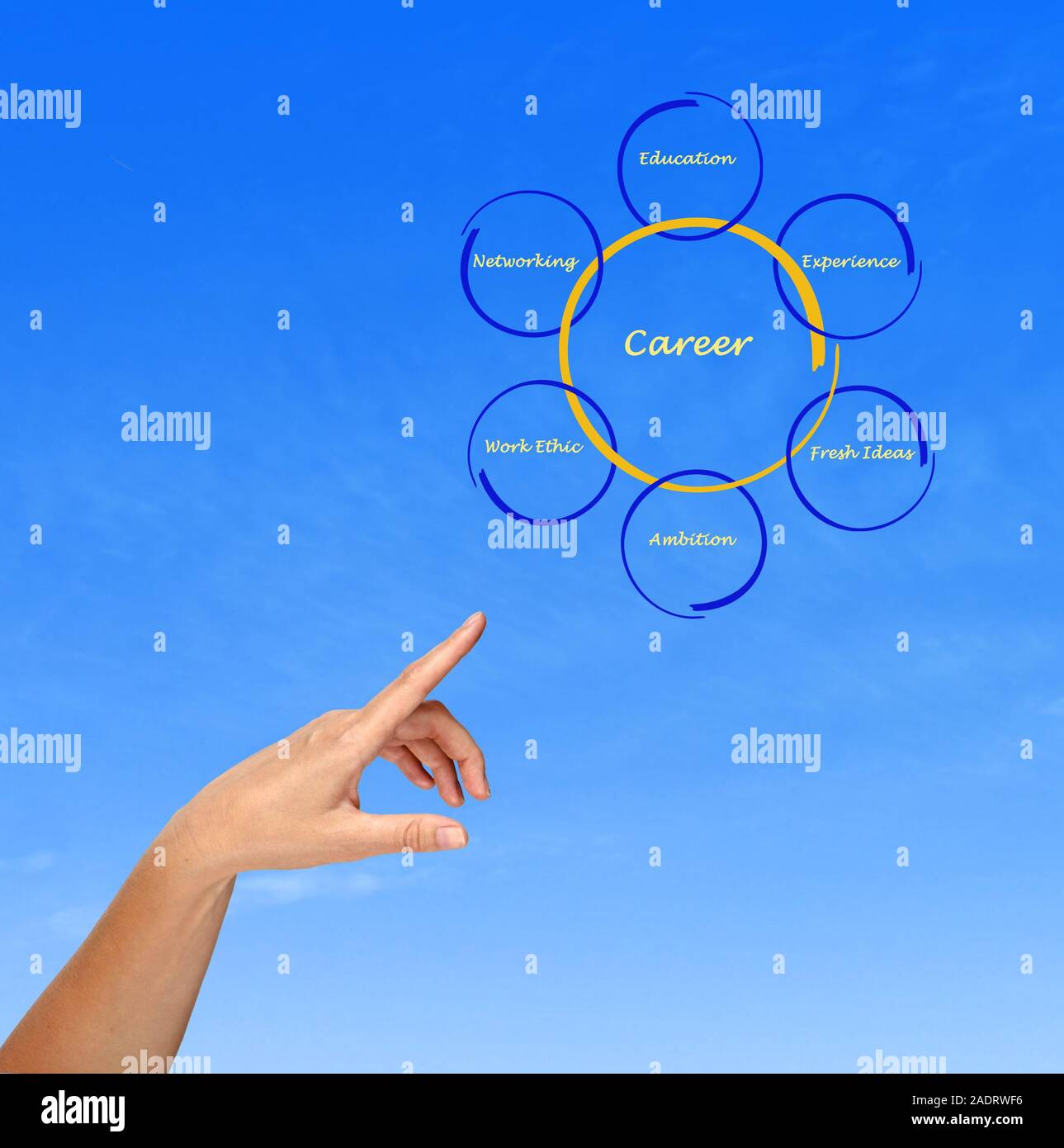 Diagram of career success Stock Photo - Alamy