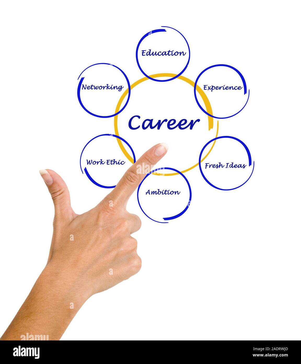 Diagram of career success Stock Photo - Alamy