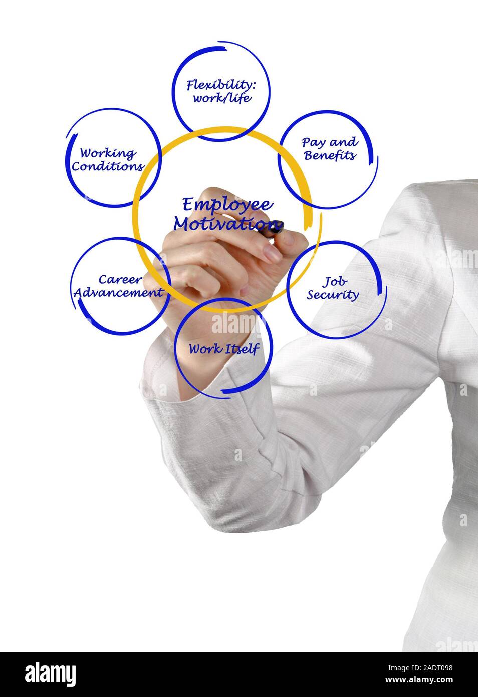 Diagram of employee motivation Stock Photo - Alamy