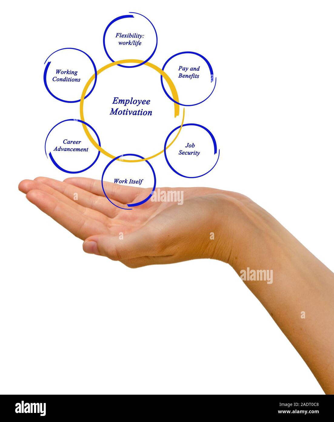 Diagram of employee motivation Stock Photo - Alamy