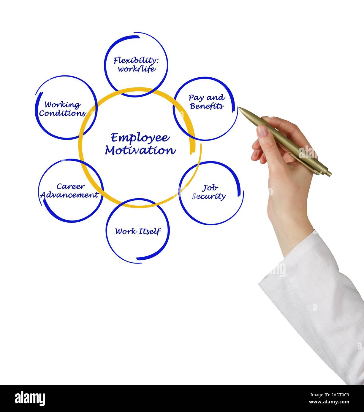 Diagram of employee motivation Stock Photo - Alamy