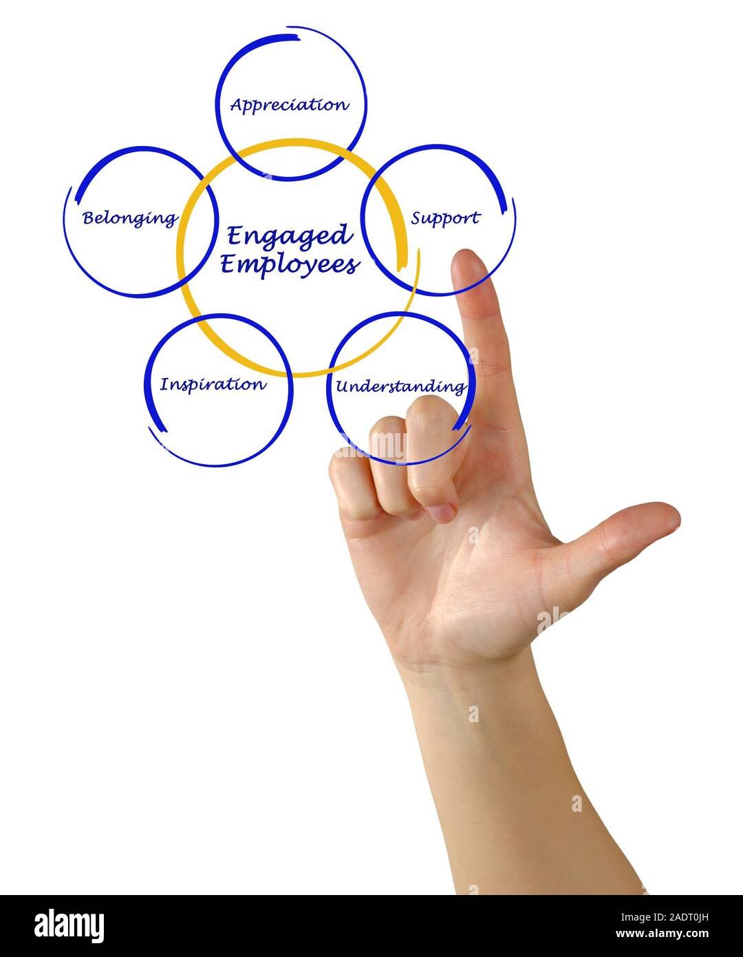 Employee appreciation Cut Out Stock Images & Pictures - Alamy