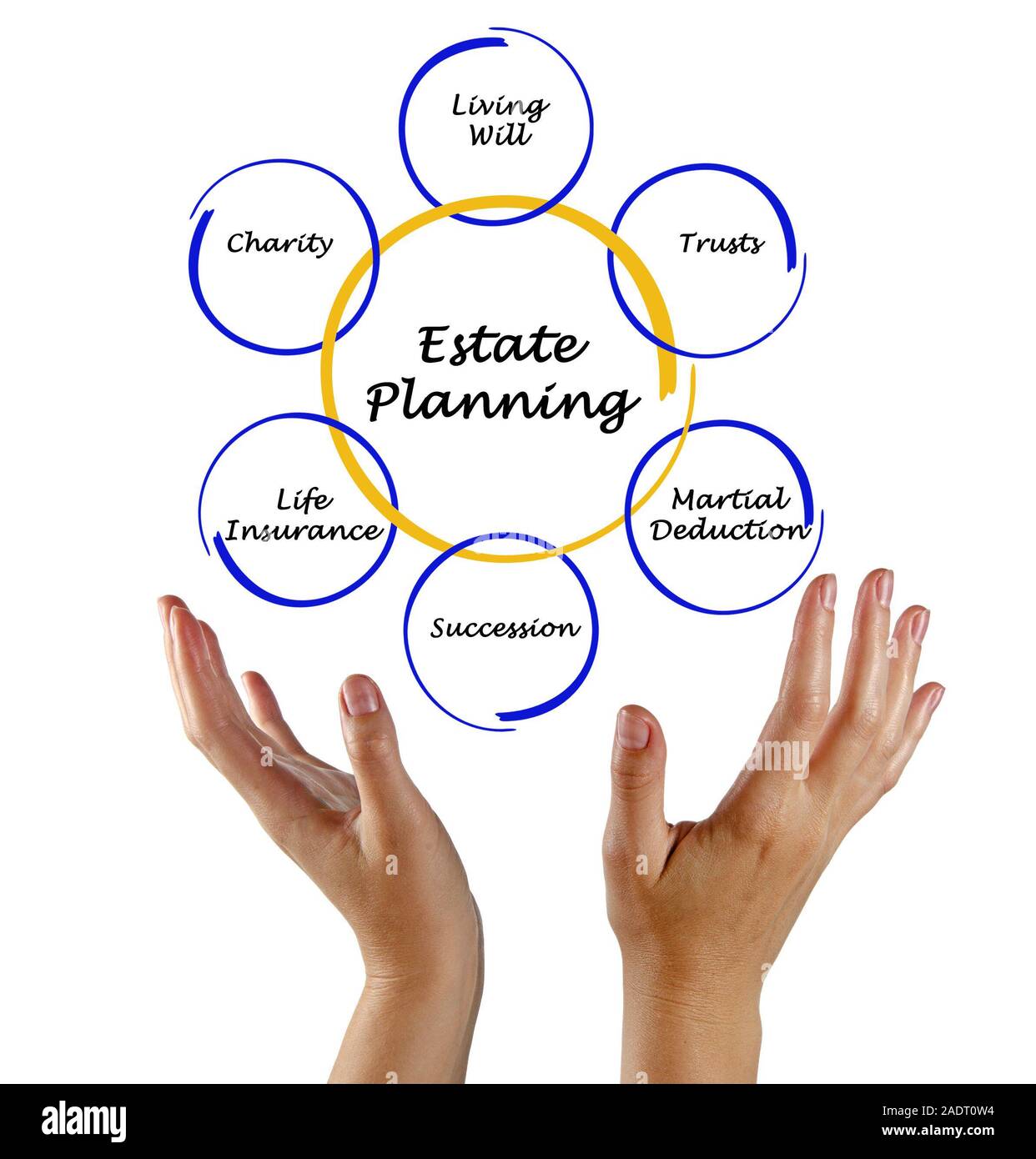 Real estate agency woman Cut Out Stock Images & Pictures - Alamy