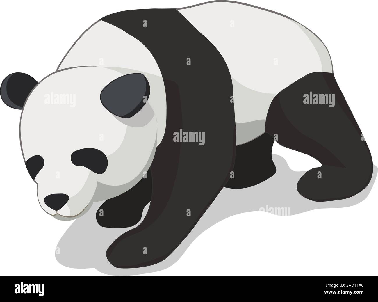 Isometric panda bear vector illustration with white background Stock ...