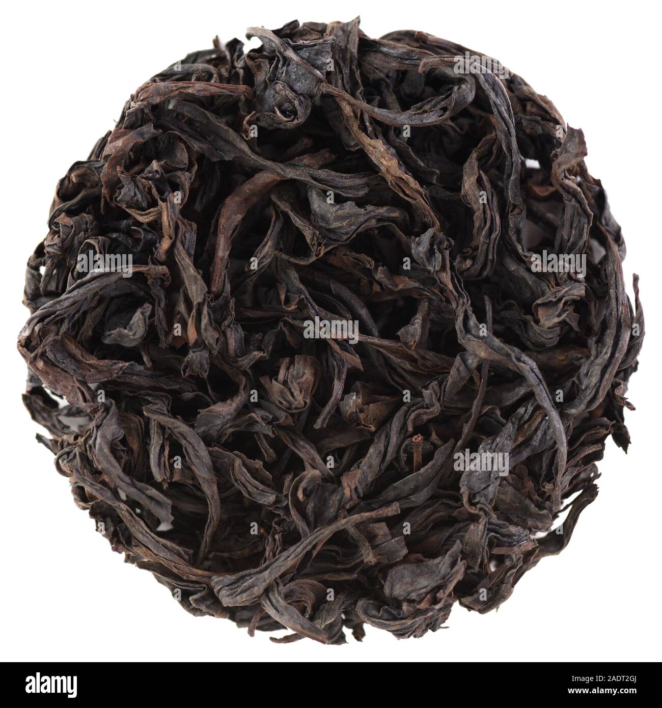 Isolated Tea And Turtle High Resolution Stock Photography and Images ...