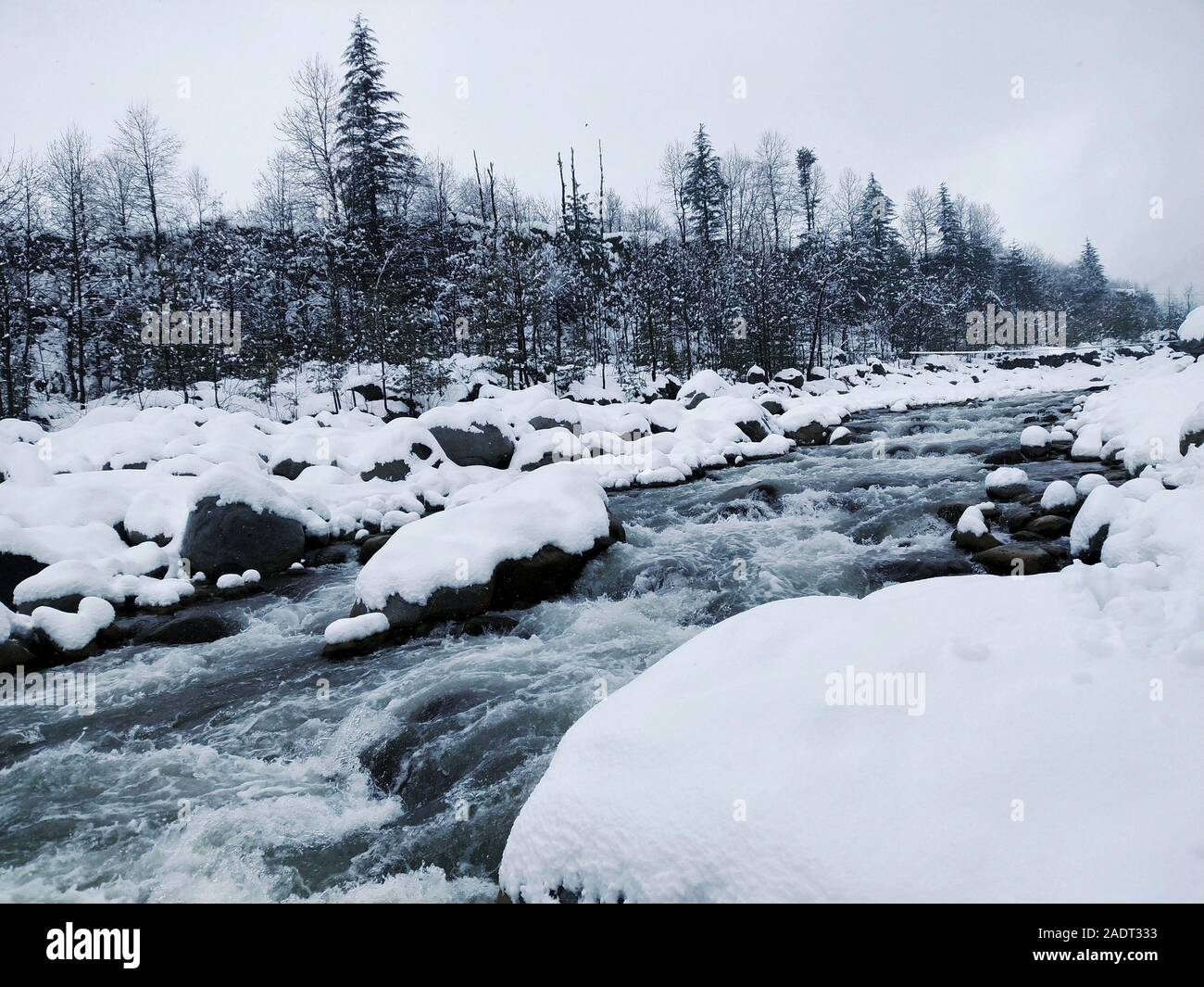 fresh snowfall in kashmir Stock Photo - Alamy