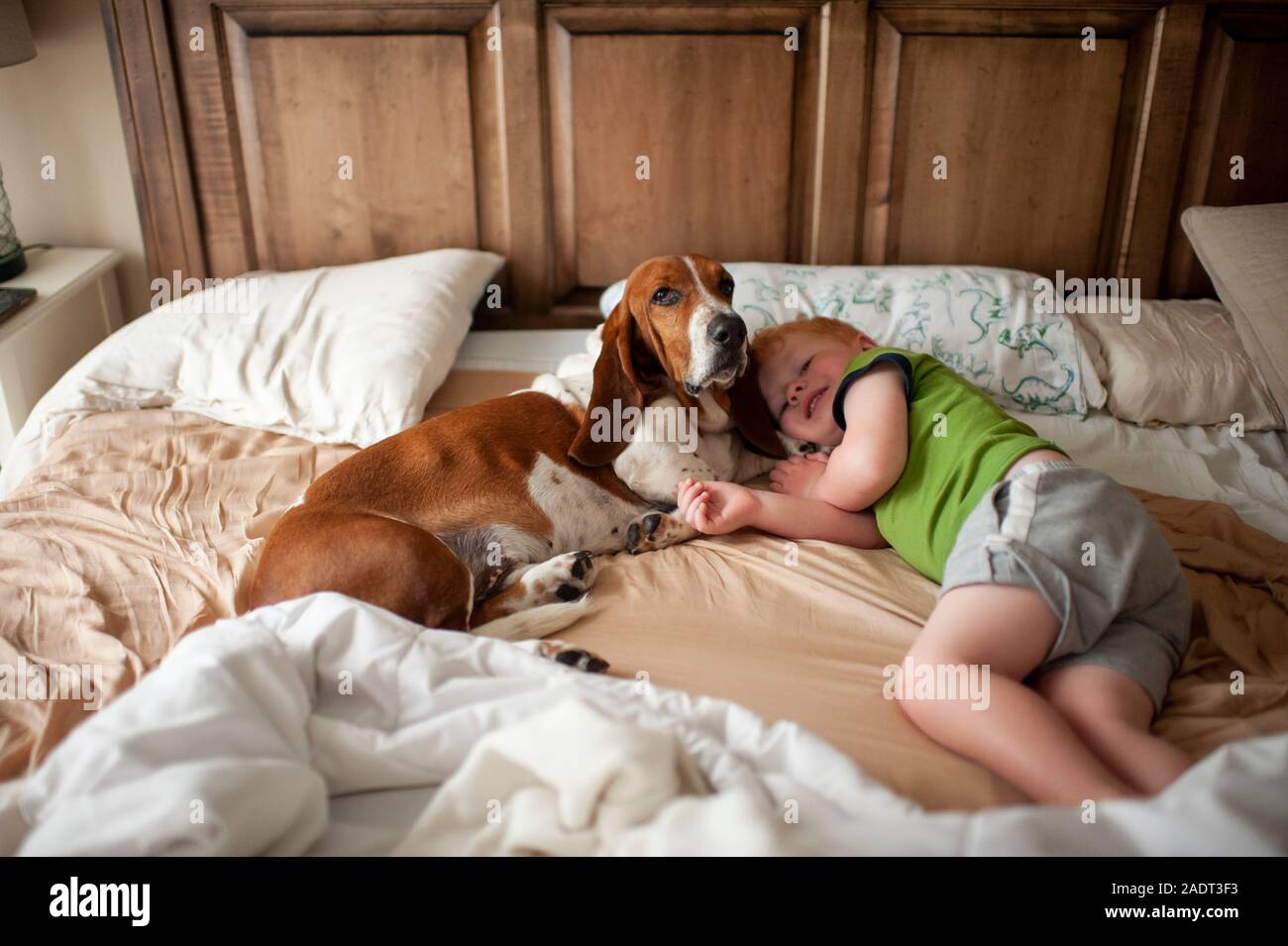 2 sleeping dogs hi-res stock photography and images - Alamy