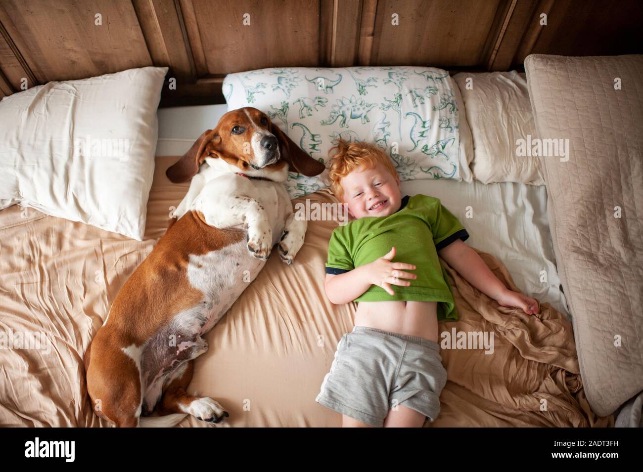 2 sleeping dogs hi-res stock photography and images - Alamy