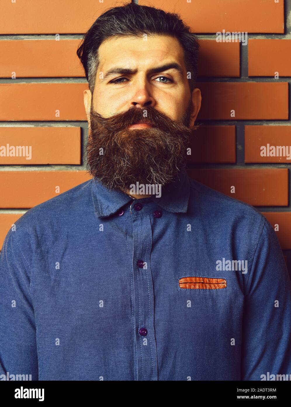 bearded man, long beard, brutal caucasian hipster with moustache on ...