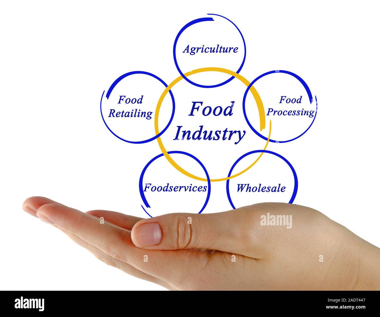 Diagram of Food Industry Stock Photo - Alamy