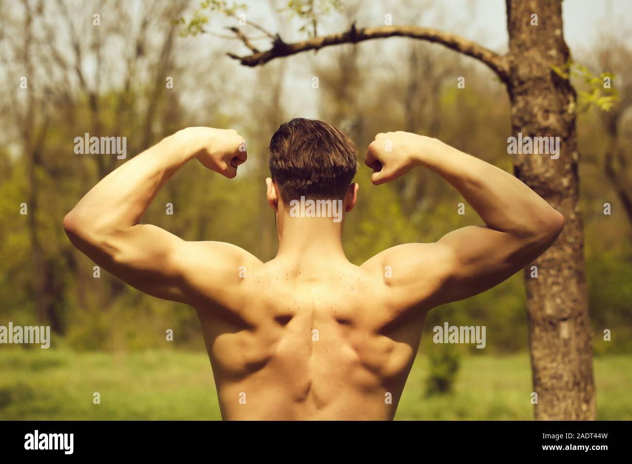 Biceps and back muscles of strong man with stylish haircut on park ...