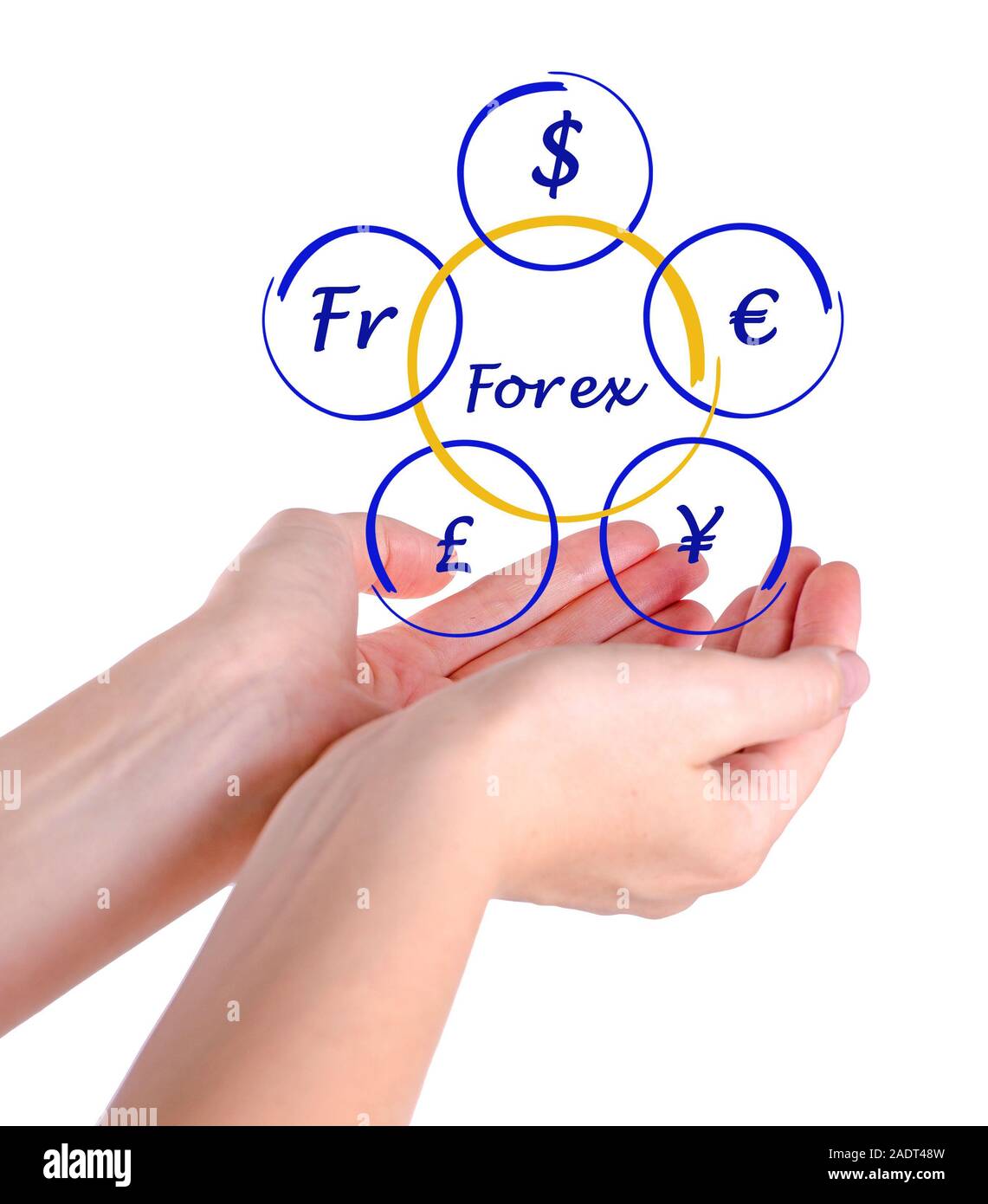 Forex Cut Out Stock Images & Pictures - Alamy