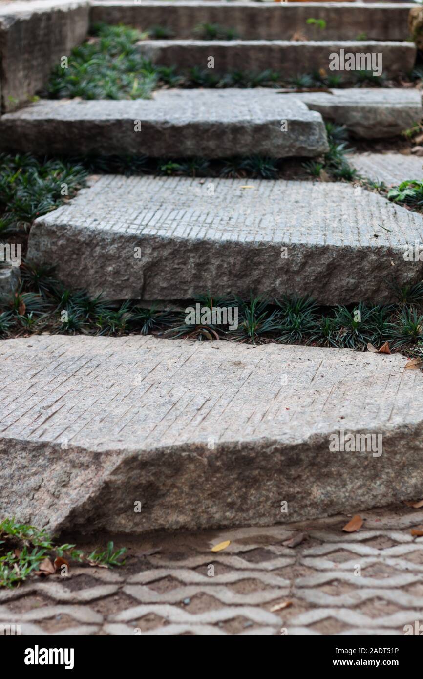 Footpath in front yard hi-res stock photography and images - Alamy