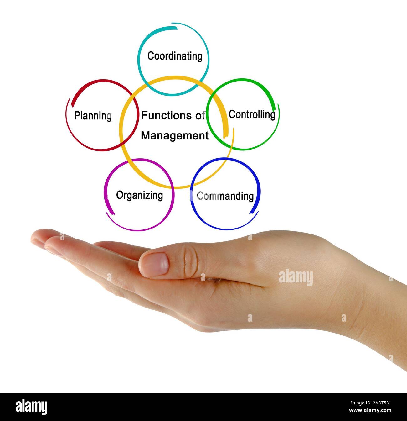 Function of Management Stock Photo - Alamy