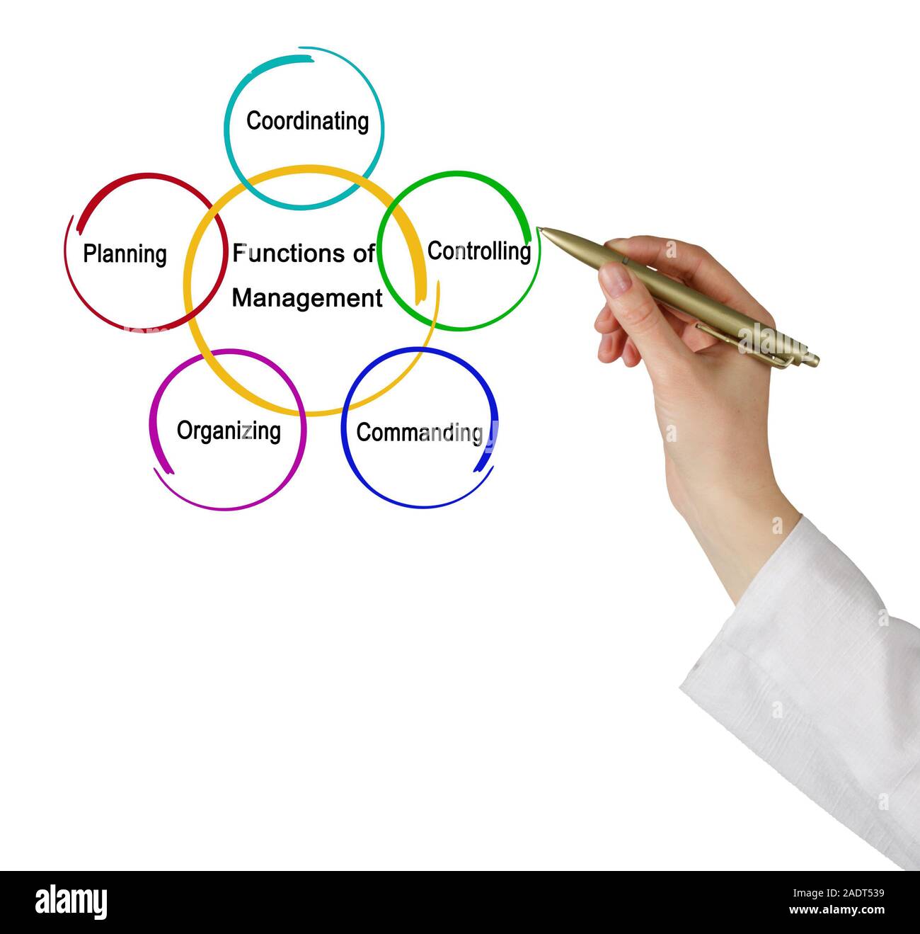 Function of Management Stock Photo - Alamy