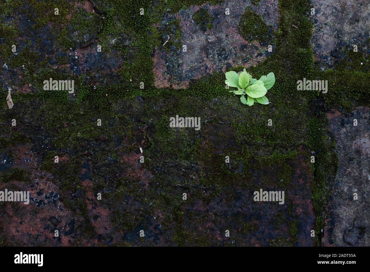 Pebble stones and bricks abstract background, stock photo Stock Photo ...