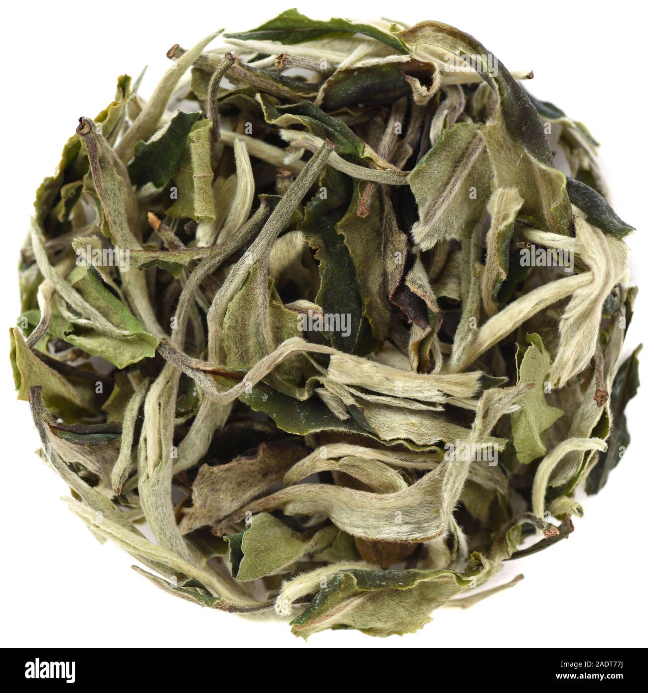 Mu dan Cut Out Stock Images & Pictures - Alamy