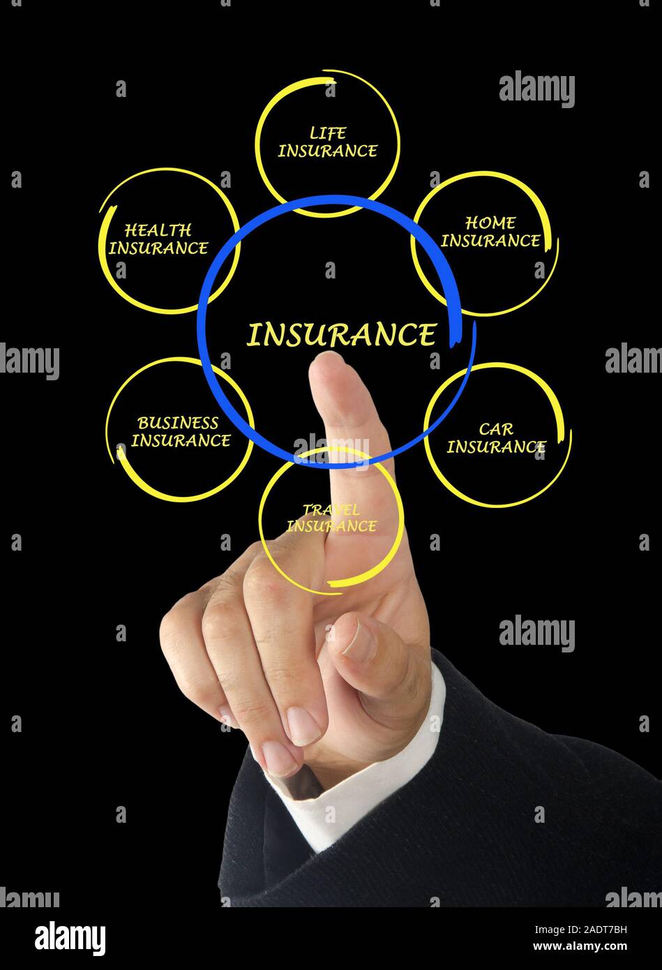 man presenting insurance diagram Stock Photo - Alamy