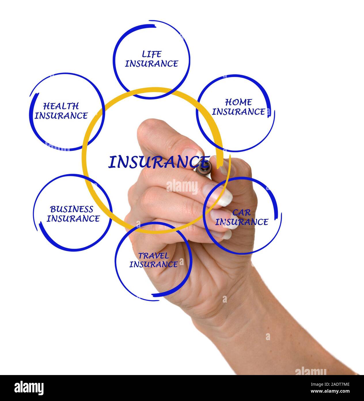 Diagram of insurance Stock Photo - Alamy