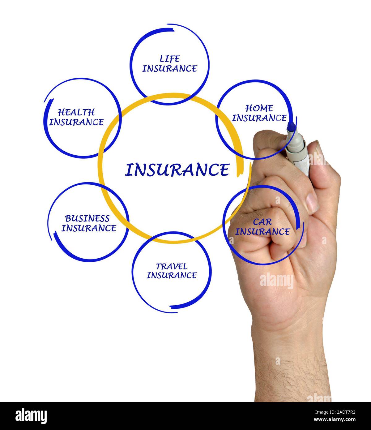 presenting insurance diagram Stock Photo - Alamy