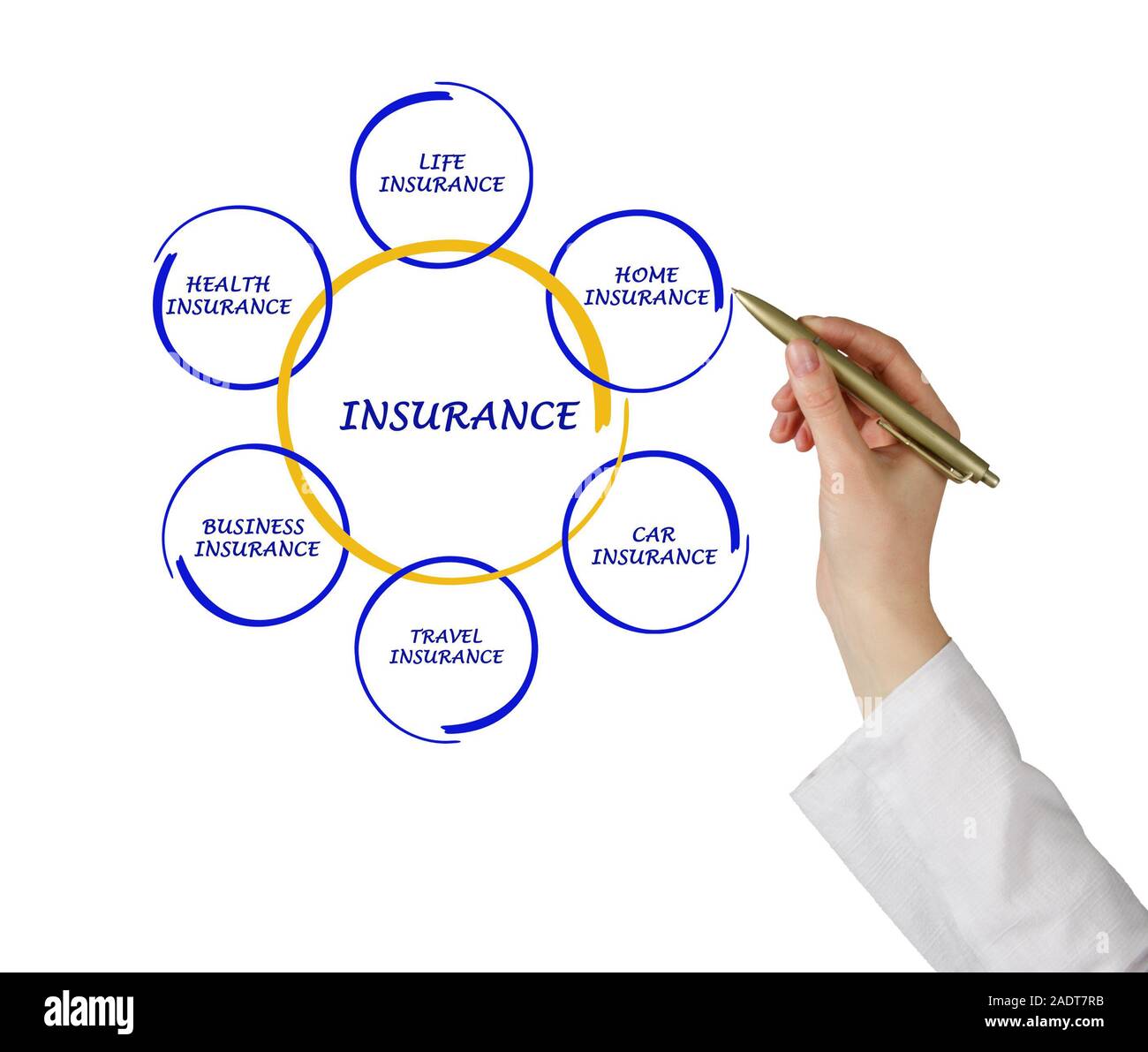 Diagram of insurance Stock Photo - Alamy