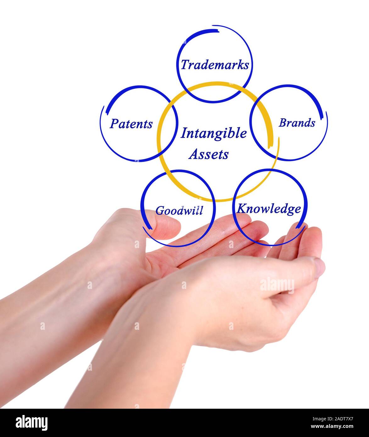 Intangible assets hi-res stock photography and images - Alamy