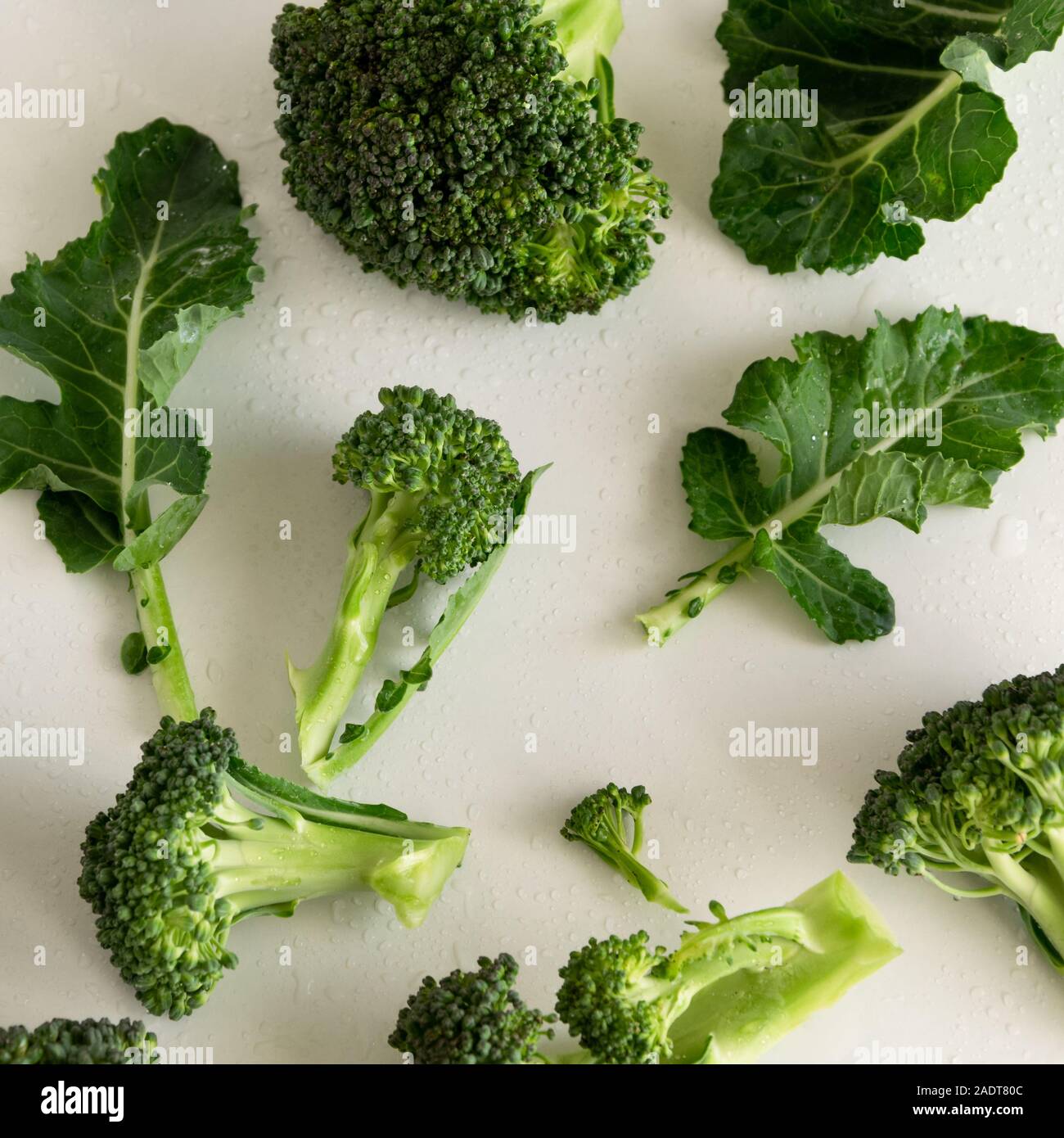 Fresh raw broccoli florets on white background, fresh vegetables ...
