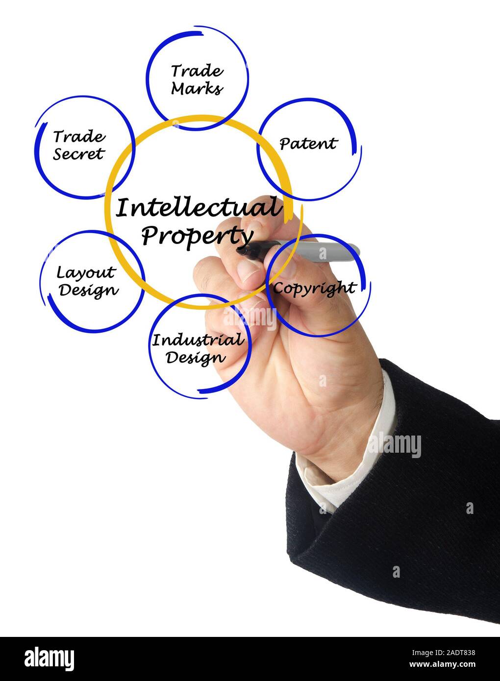 Property layout Cut Out Stock Images & Pictures - Alamy