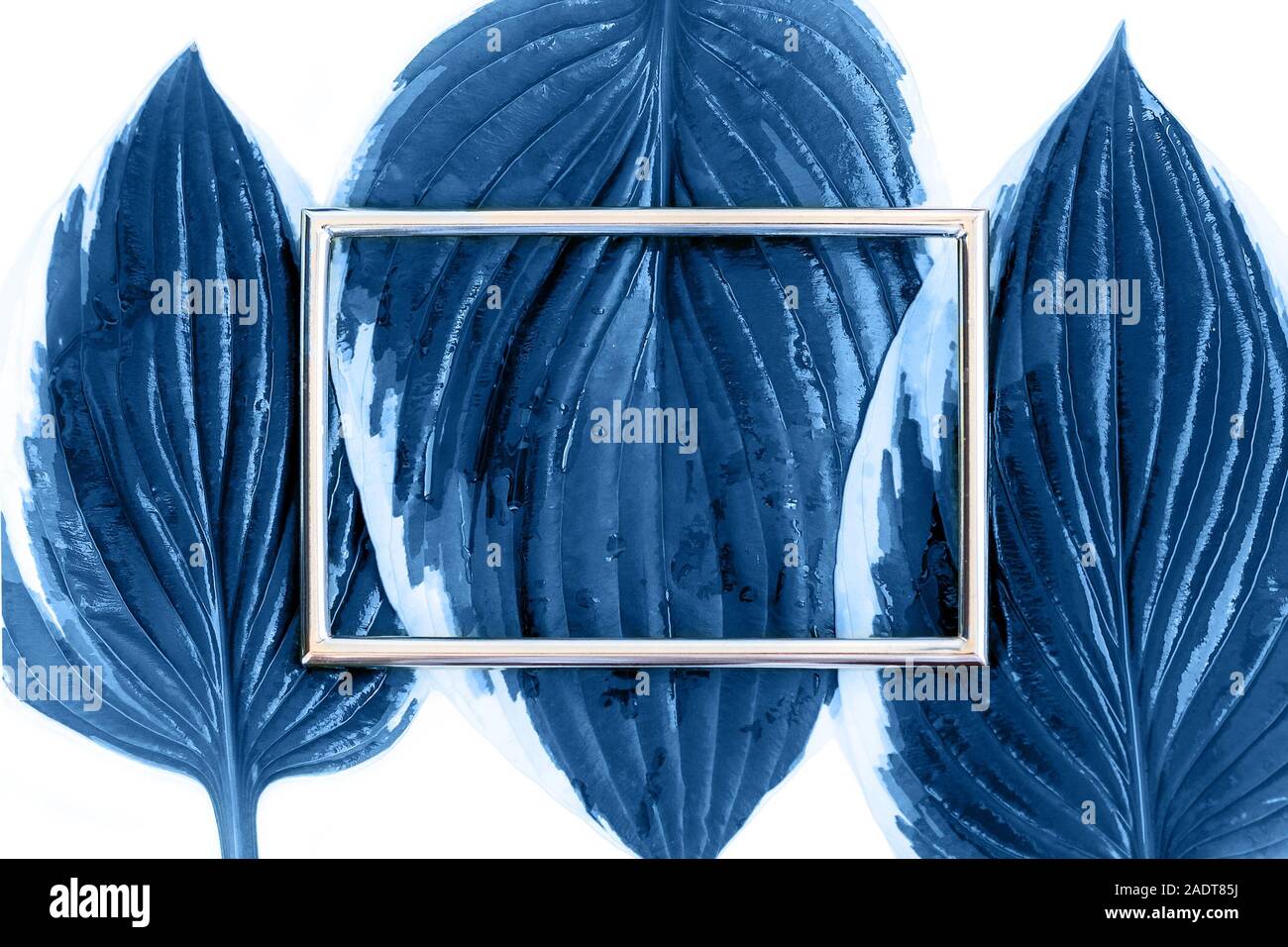 Creative blue layout made of tropical leaves with metal card note Stock ...