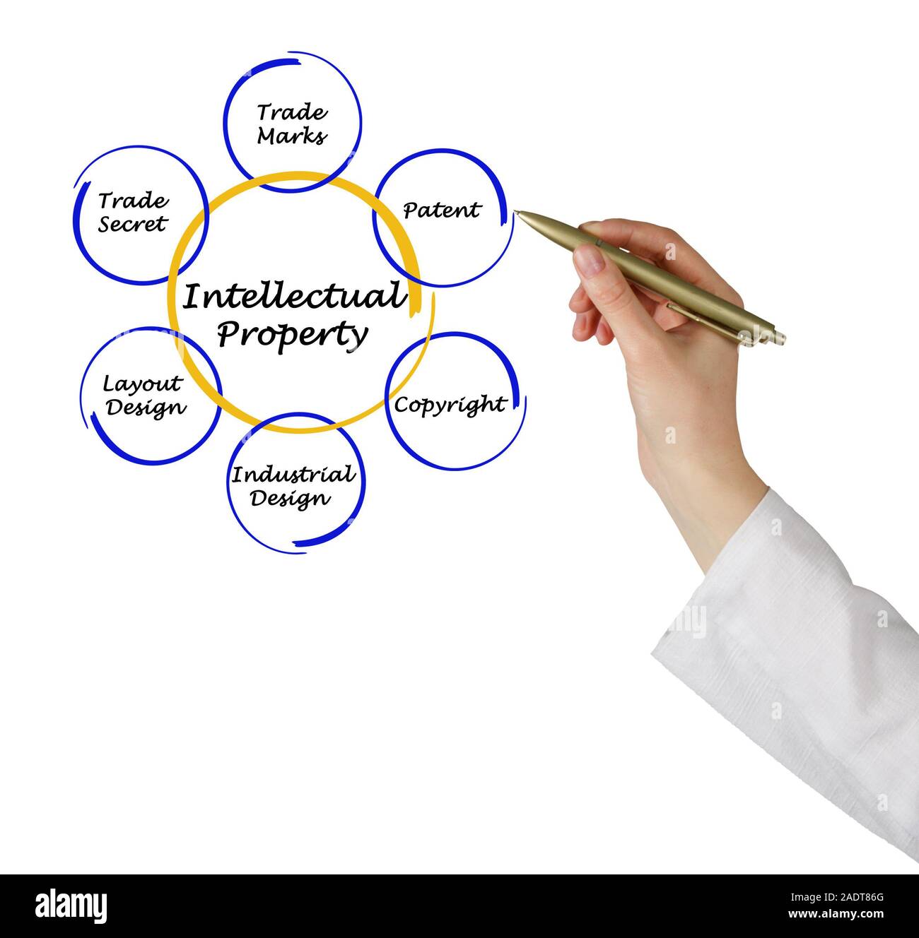 Property layout Cut Out Stock Images & Pictures - Alamy