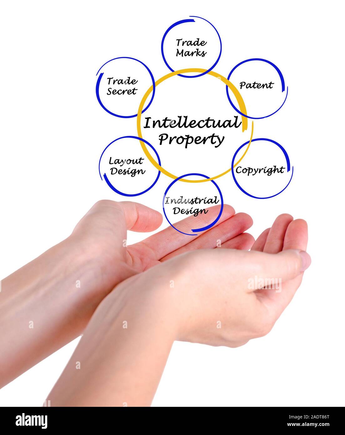 Intellectual property ip patent copyright Cut Out Stock Images ...