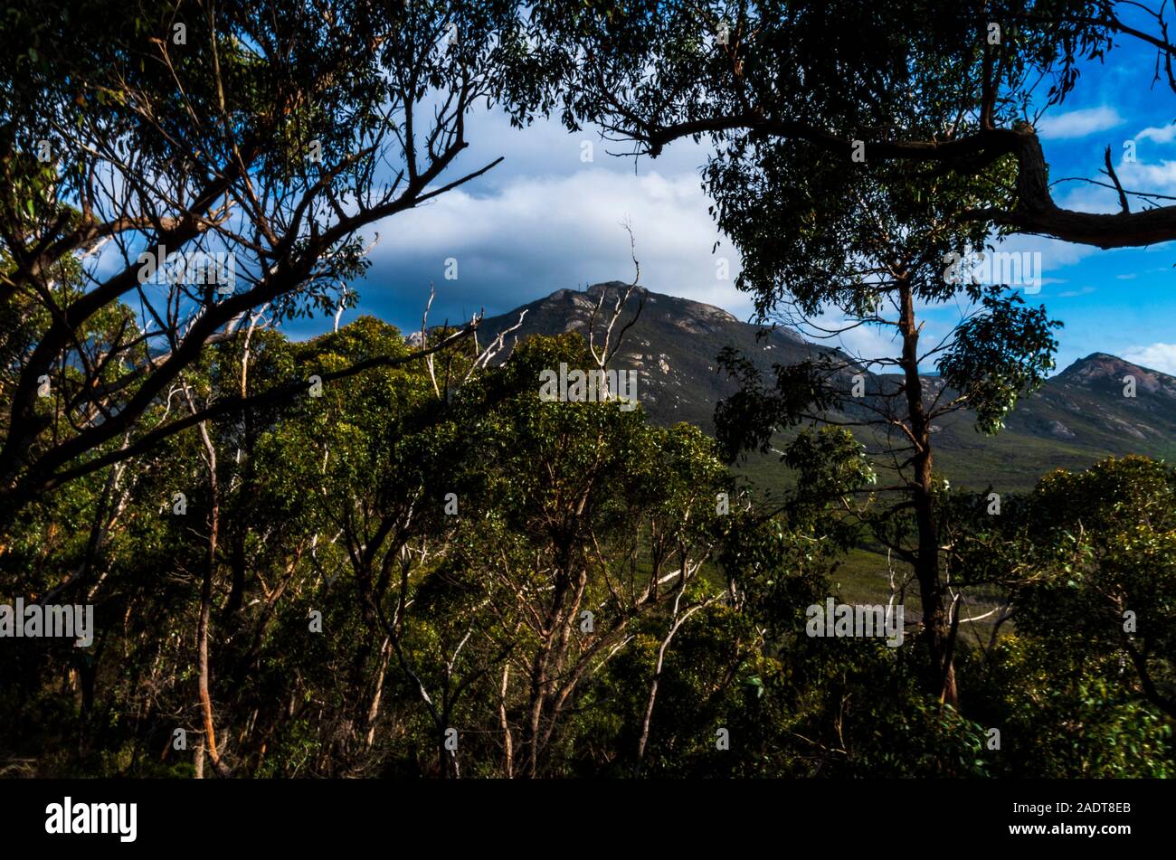 Mount Oberon in the distance Stock Photo - Alamy