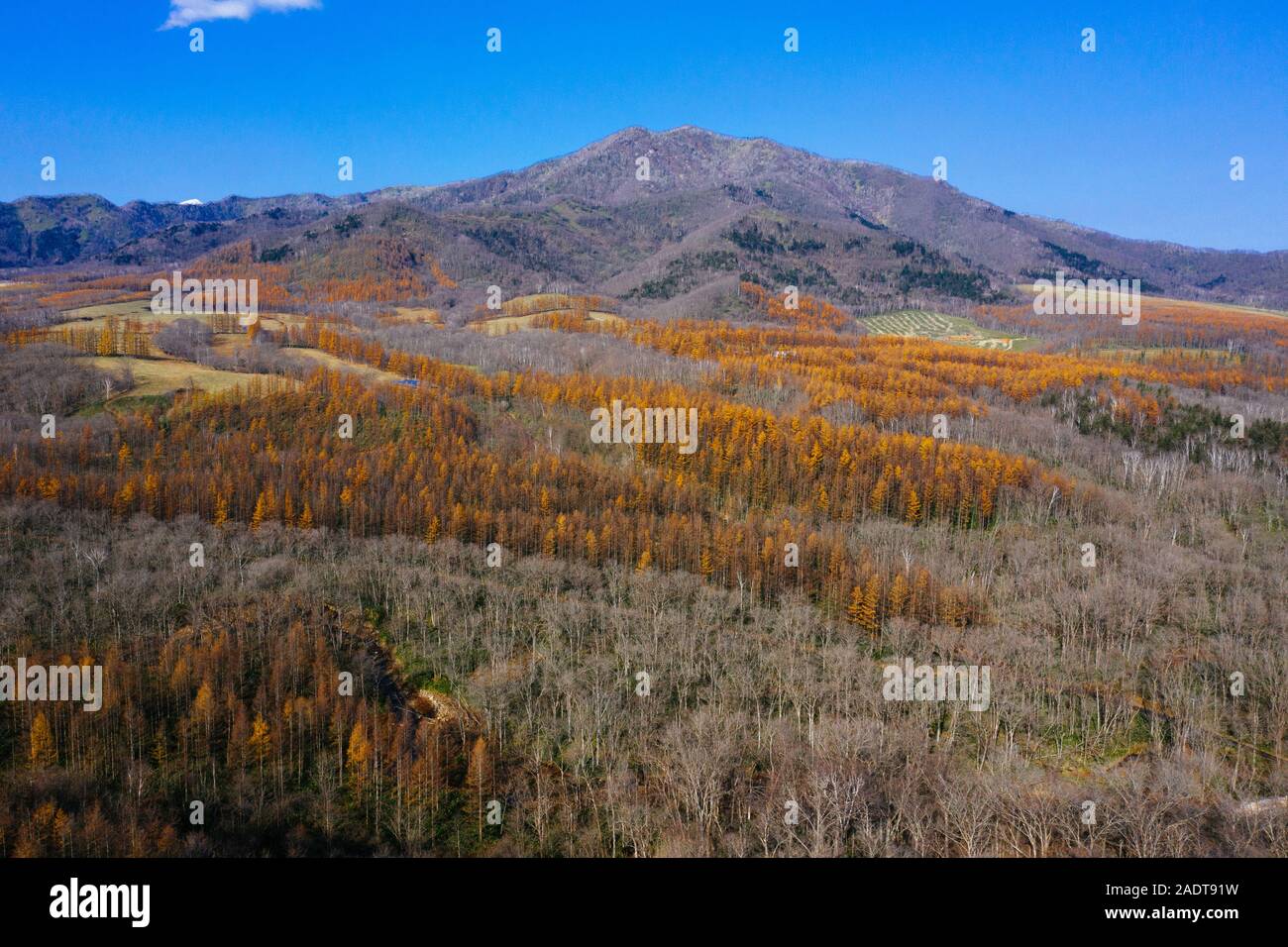 Autumn scenery, Tokachi, Hokkaido, Japan Stock Photo - Alamy