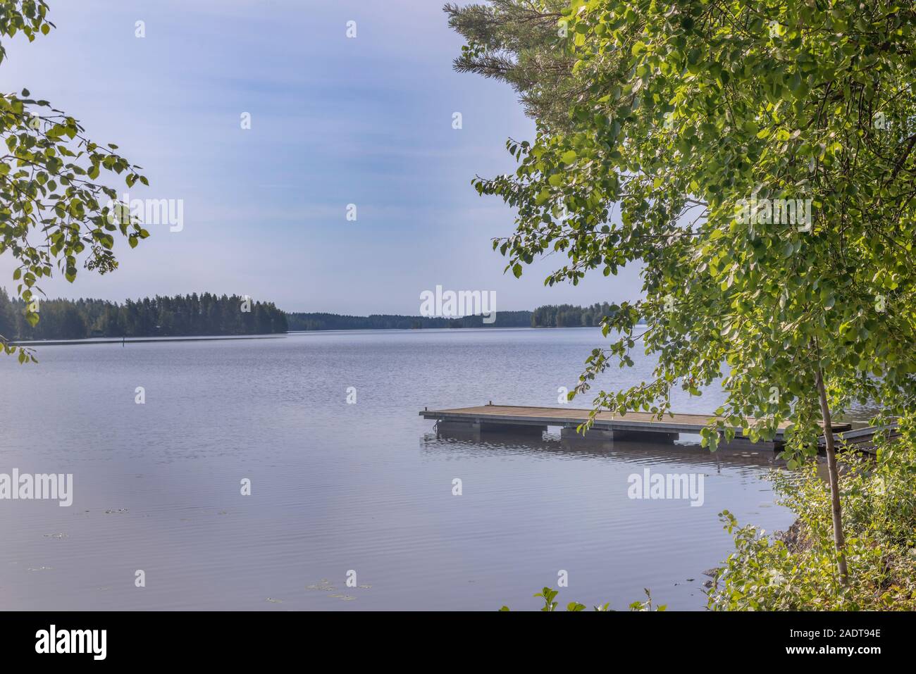Lake landscape in summer Stock Photo - Alamy