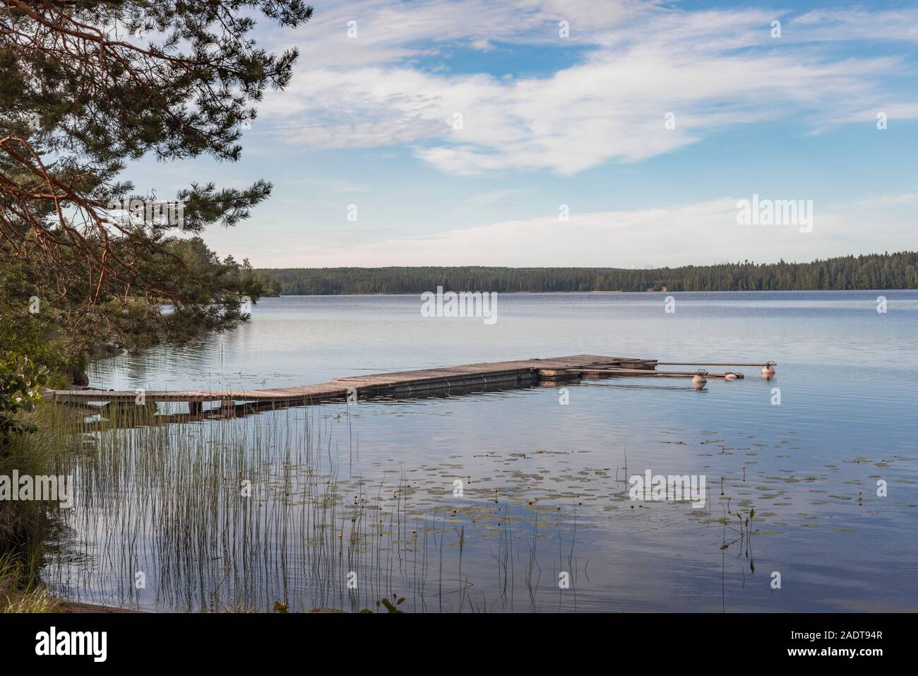Lake landscape in summer Stock Photo - Alamy