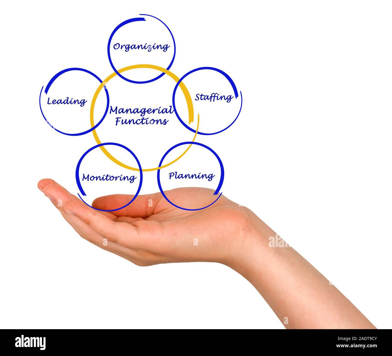 Hr function hi-res stock photography and images - Alamy